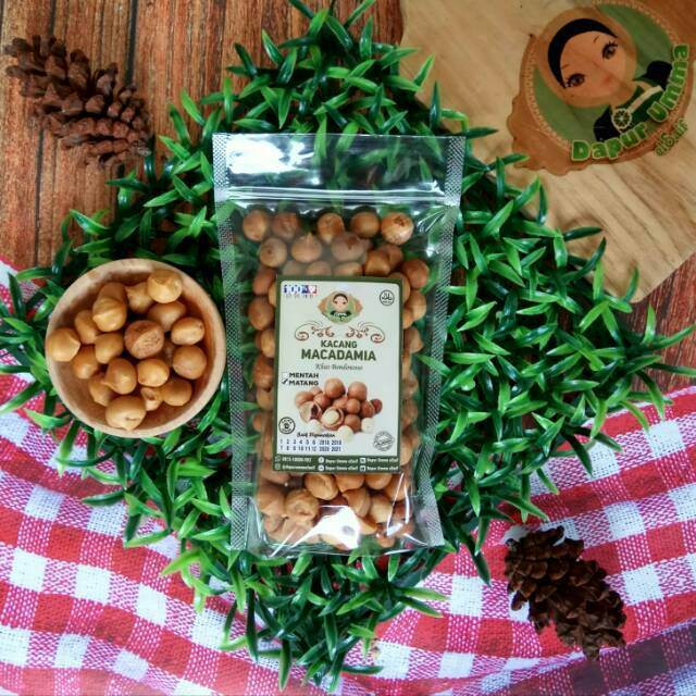 Jual Kacang Macadamia 500gr (Utuh Matang) Indonesia|Shopee Indonesia