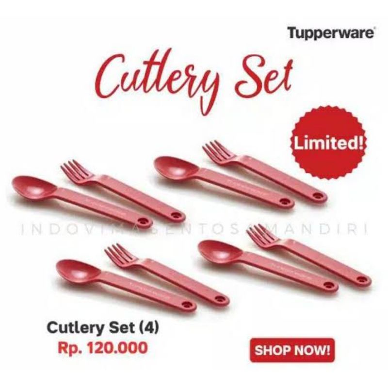 Jual Tupperware Cutlery Set (Spoon & Fork) 1 Pcs // Sendok Garfu Makan ...
