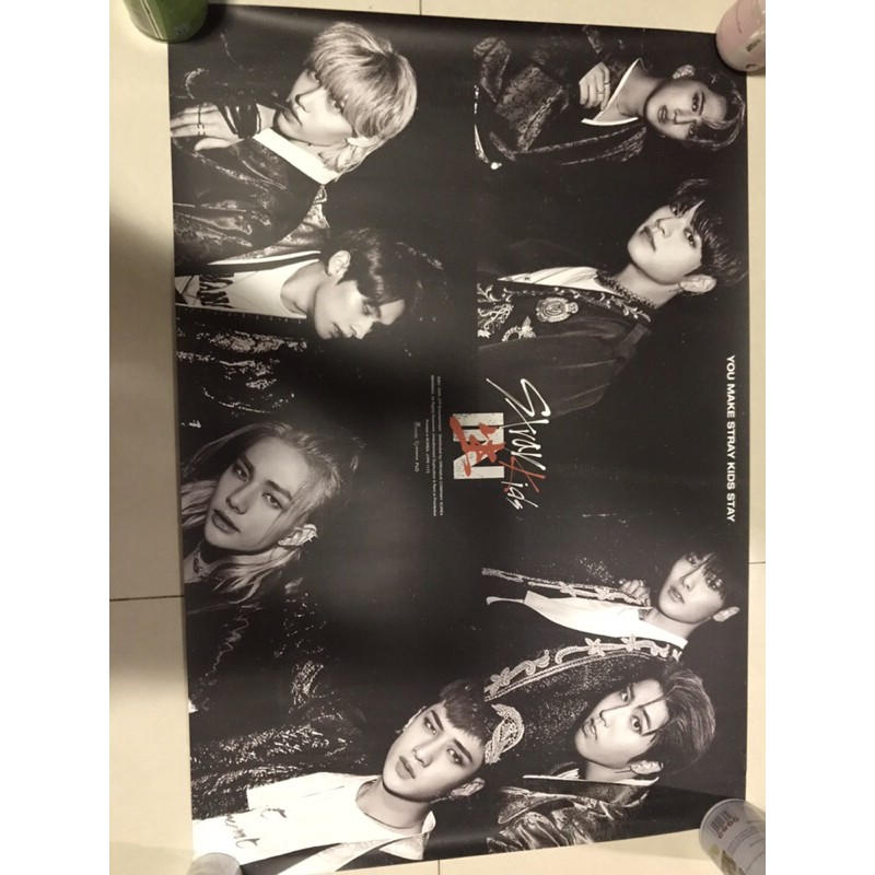 Jual POSTER STRAY KIDS SKZ LIMITED IN LIFE OFFICIAL | Shopee Indonesia