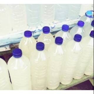 Jual Air Legen, 500 ml - Air Nira Pohon kelapa / Sajeng Gula Merah ...