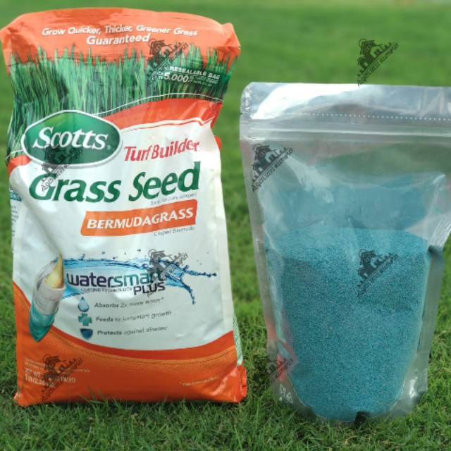 Produk miracle_grass | Shopee Indonesia