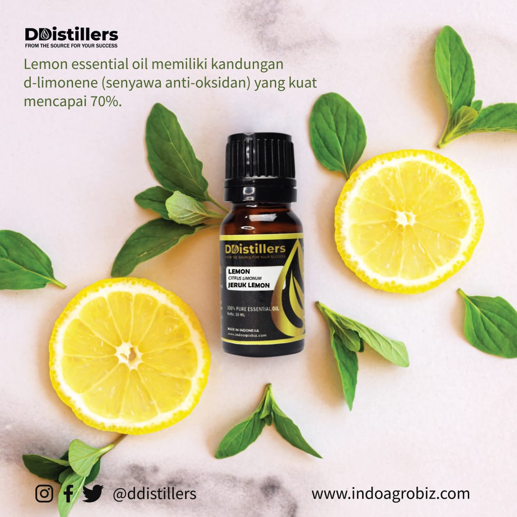 Jual Minyak Atsiri Jeruk Lemon / Lemon Essential Oil 100 % Pure Vol 100 ... Jual Minyak Atsiri Jeruk Lemon / Lemon Essential Oil 100 % Pure Vol 100 ...