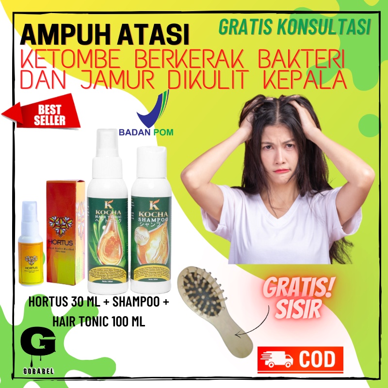 Jual Shampoo Anti Ketombe Kocha Paling Ampuh Atasi Ketombe Yang Membandel Herbal Alami Dijamin ...