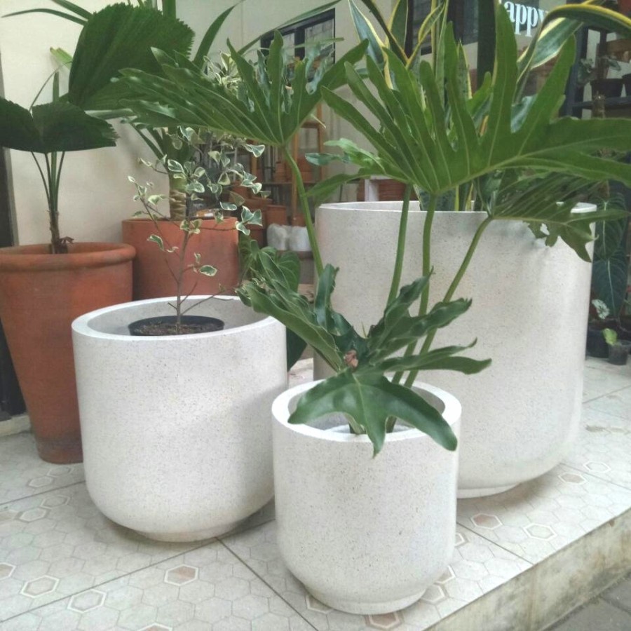 Jual Paket Pot Teraso Kapsul (3Pot) | Shopee Indonesia