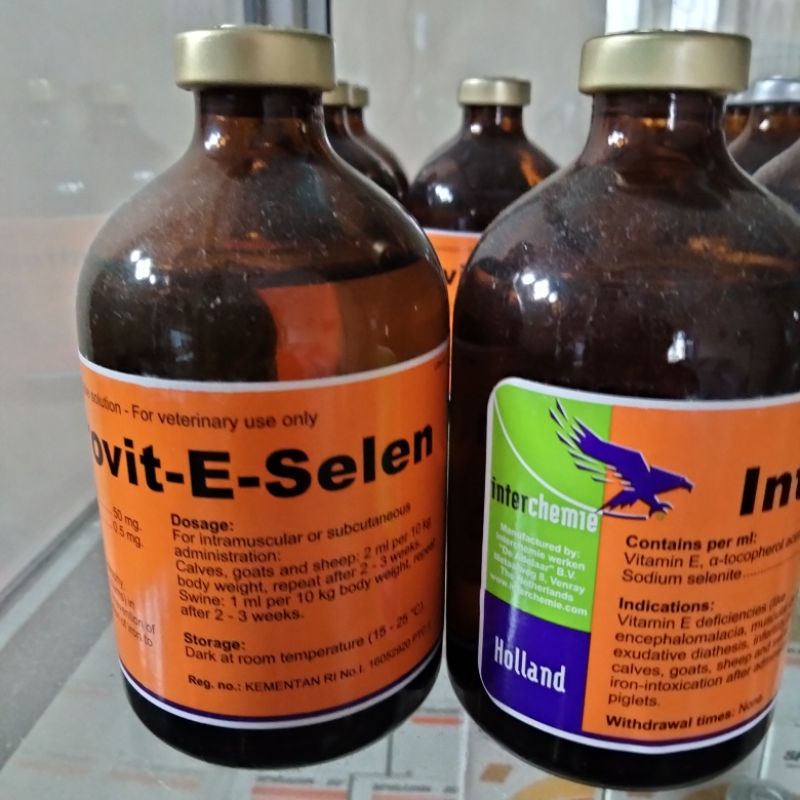 Harga introvit Terbaru Des 2025 | BigGo Indonesia