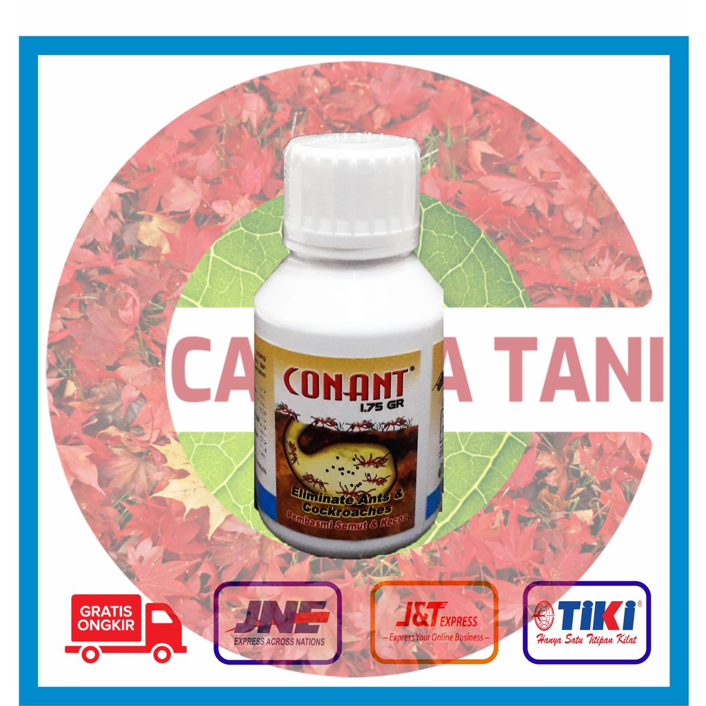 Jual Conant Pembasmi Semut dan Kecoa @ 20gr | Shopee Indonesia