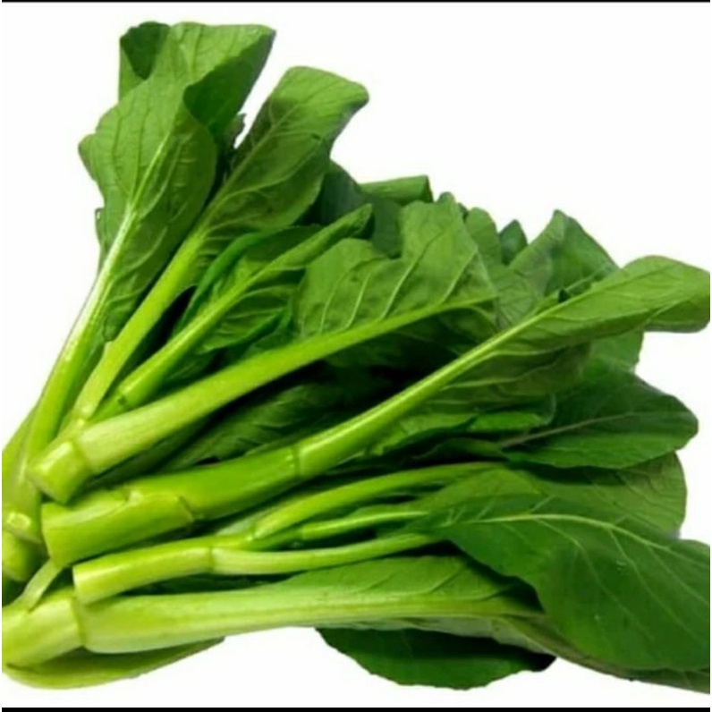 Jual Benih Sayur Sawi Manis Hongkong - Bibit Sawi Bunga ( 500 Grm ...