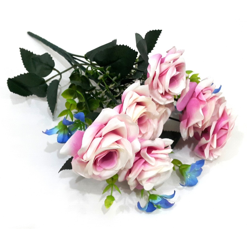 Simak! Gambar Bunga Mawar Gradasi Populer - Informasi Seputar Tanaman Hias