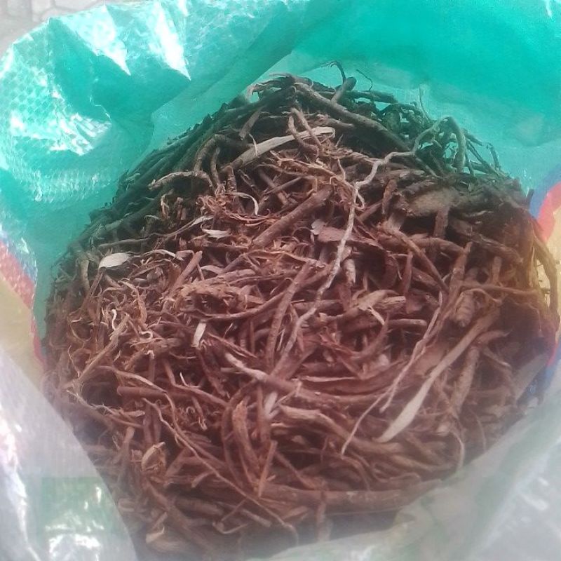 Jual Kayu Rapet / Kayu Rapat 1 kg | Shopee Indonesia
