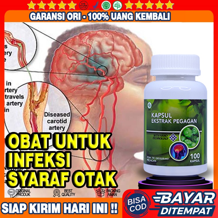 Jual Obat Untuk Mengobati Infeksi Saraf Otak Ekstrak Pegagan 100% Asli ...