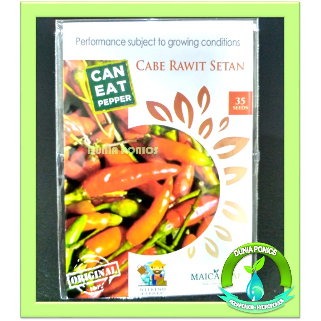Jual Benih Bibit Cabai CABE RAWIT SETAN Maica Leaf 1 Pack 35 Butir ...