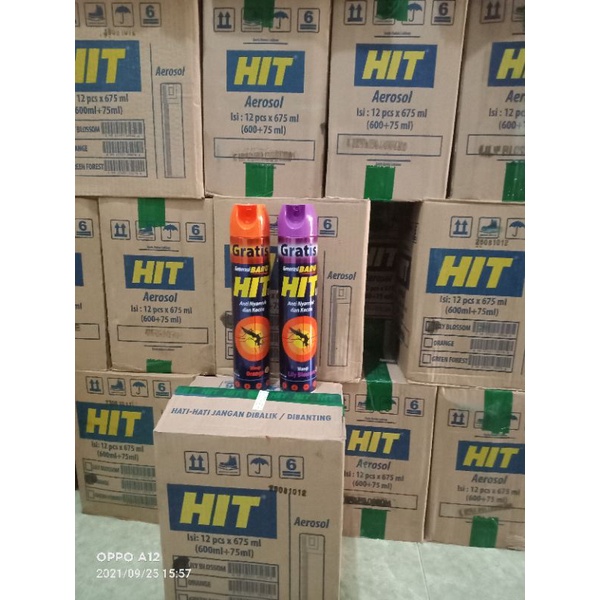 Jual Hit Spray 600ml + 75ml | Shopee Indonesia