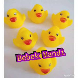 Jual Mainan bebek karet, bebek mandi warna warni per biji | Shopee ...