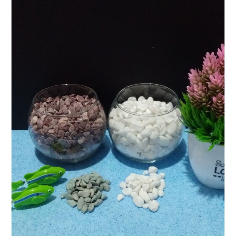 Jual batu vas batu akuarium batu coral dekorasi akuarium Indonesia ...