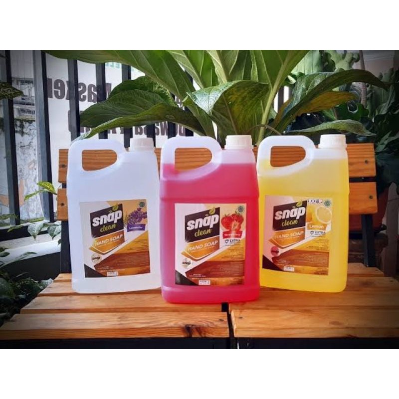 Jual Snap Clean Hand Soap 4 Liter Sabun Cuci Tangan Murah | Shopee ...