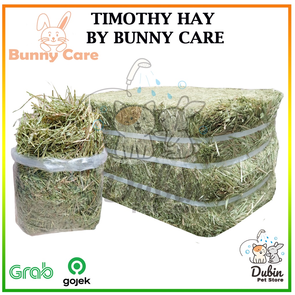 Jual Timothy Hay 1 kg - Rumput Hay Kelinci Timothy merk Bunny Care ...