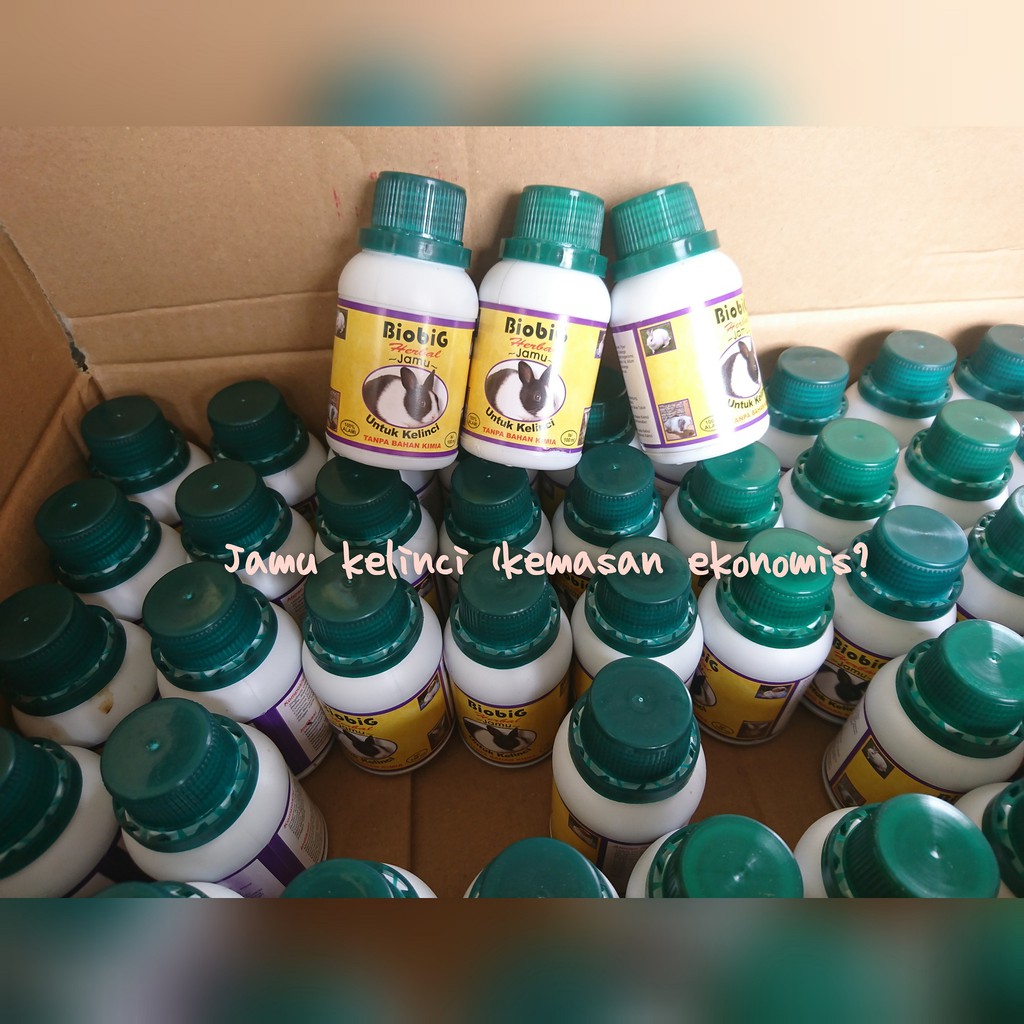 Jual biobig jamu kelinci (Kemasan Ekonomis) | Shopee Indonesia Jual biobig jamu kelinci (Kemasan Ekonomis) | Shopee Indonesia