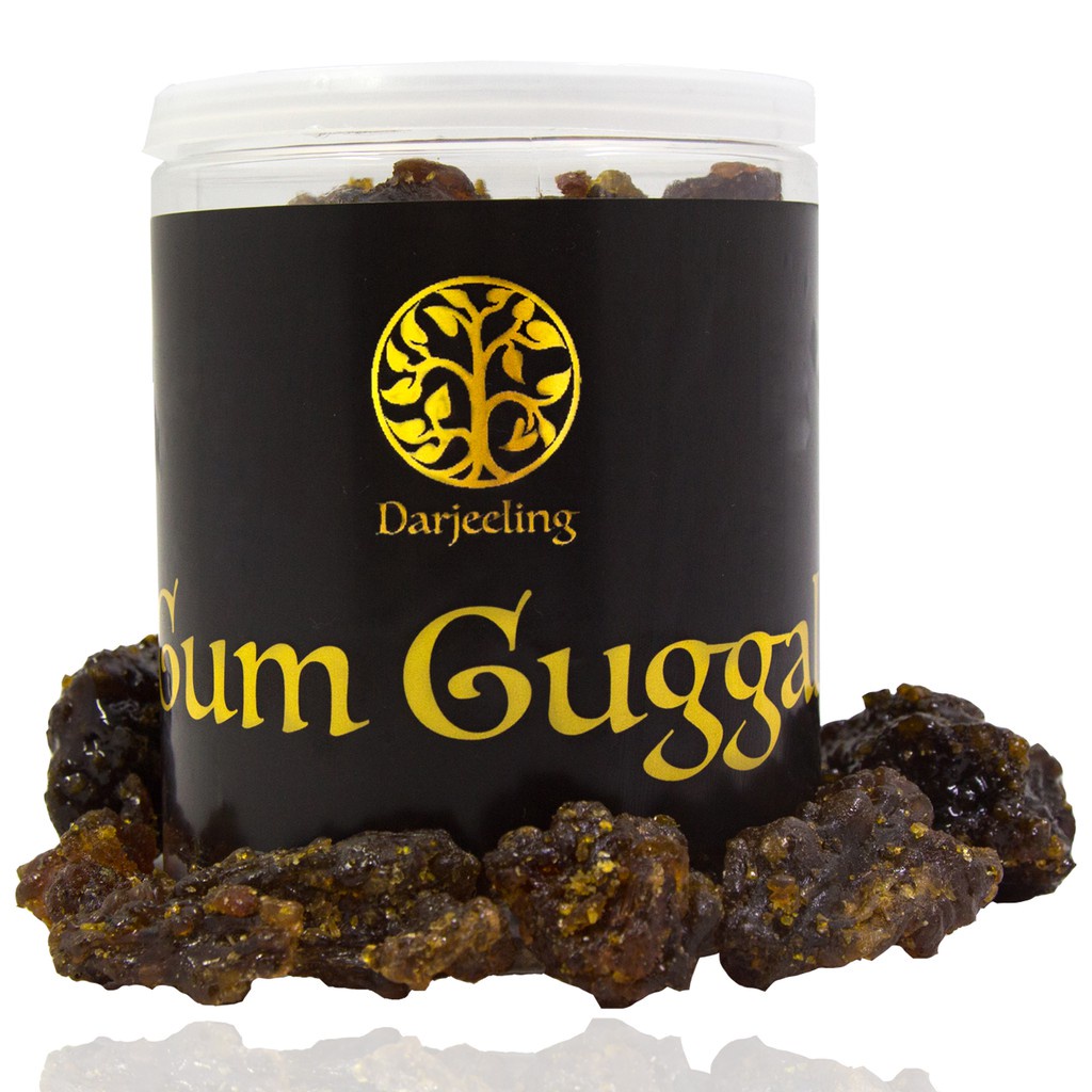 Jual Darjeeling Gum Guggul Resin / Kemenyan Gum Guggal Getah Arab Asli ...