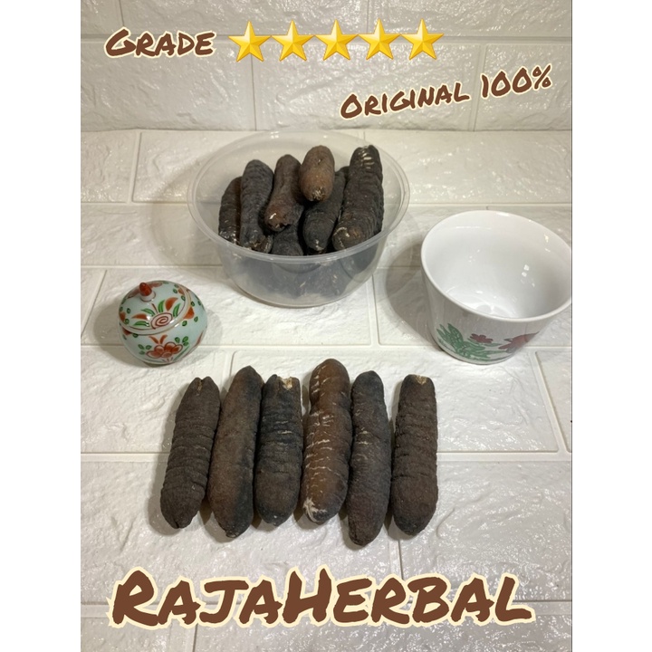 Jual Teripang Laut Hoisom Haisom Sea Cucumber / Timun Laut Gamat ...
