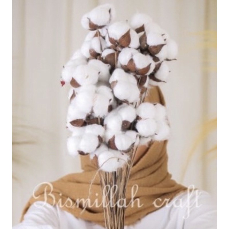 Jual BUNGA KAPAS ARTIFISIAL Bunga Hiasan Buket Bunga Kapas Cotton Bunny ...