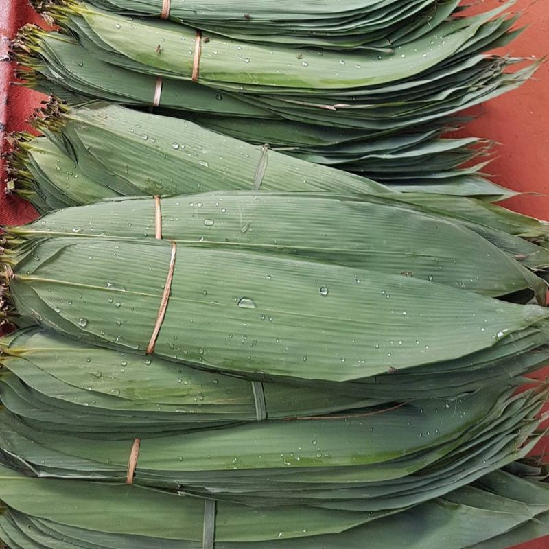 Jual Daun bambu lebar murah/daun bacang/daun bakcang/daun kicang ...