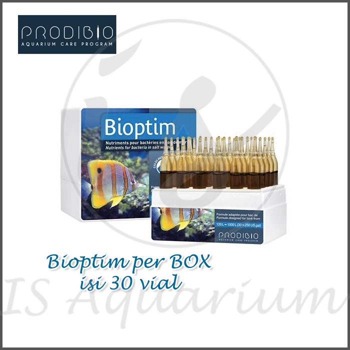 Jual Prodibio Bioptim (1 box / 30 vial) Makanan Biodigest Bakteri ...