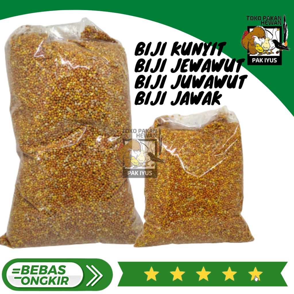 Jual BIJI KUNYIT BIJI JEWAWUT JAWAWUT BIJI JAWAK LOVERBIRD KENARI ...