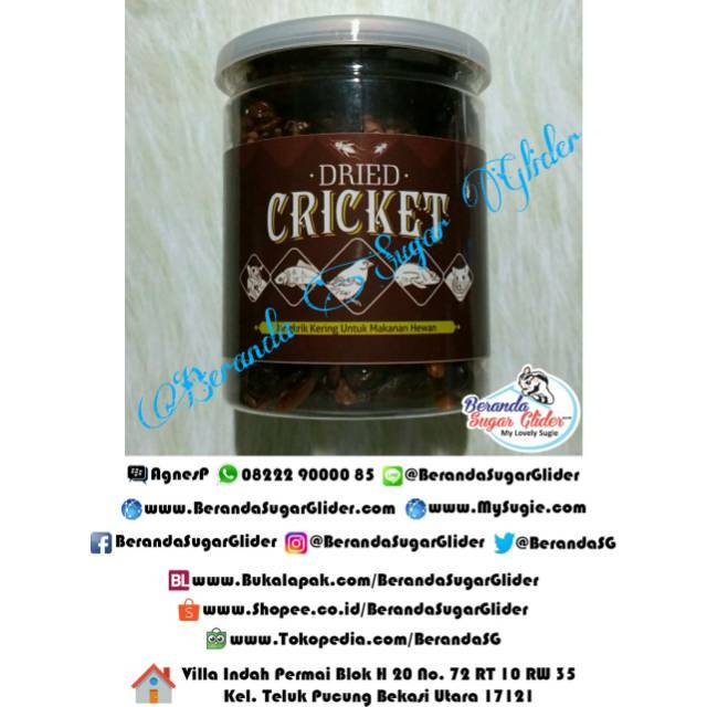Jual Jangkrik Kering / JK / Dried Cricket Import | Makanan Pakan Hewan ...