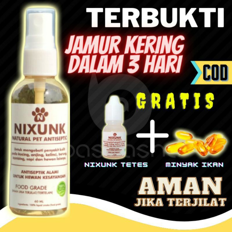 Obat Jamur Kucing Ampuh, Obat Anti Jamur Kucing, Anjing dan Kelinci ...