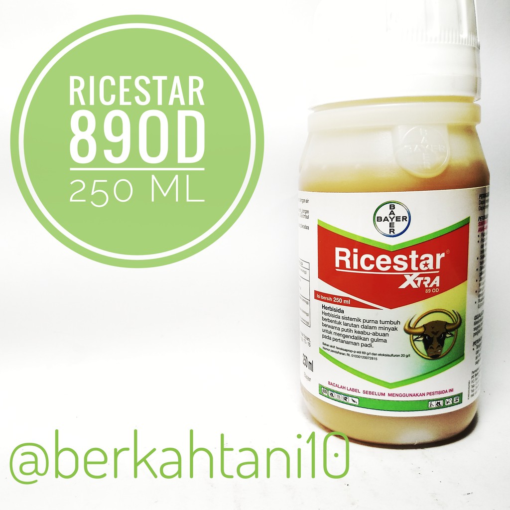 Jual Ricestar Xtra 250 ml Herbisida Selektif Tanaman Padi Indonesia ...