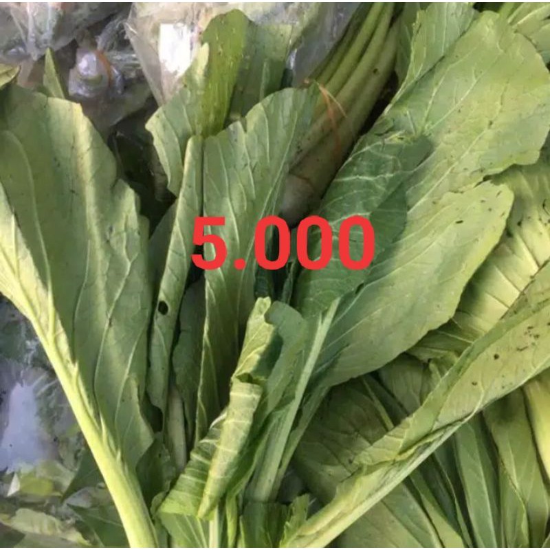 Jual paket sayuran, sayuran satuan, sayur pasar, fresh | Shopee Indonesia