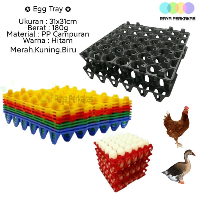 Jual Egg Tray Trey Tempat Telur Ayam Bebek Ukuran Besar 31x31 Murah ...