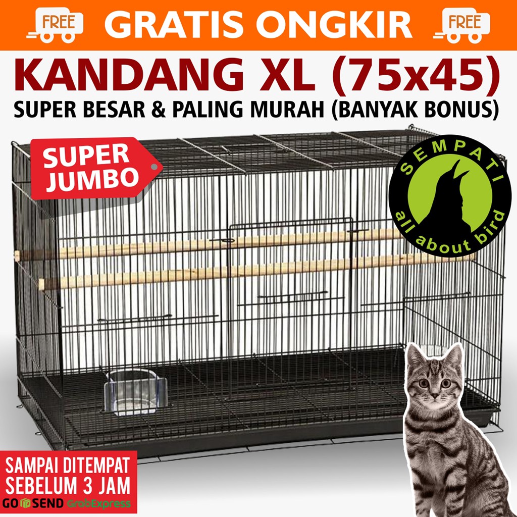Jual kandang kucing besar Harga Terbaik - Hobi u0026 Koleksi November ...
