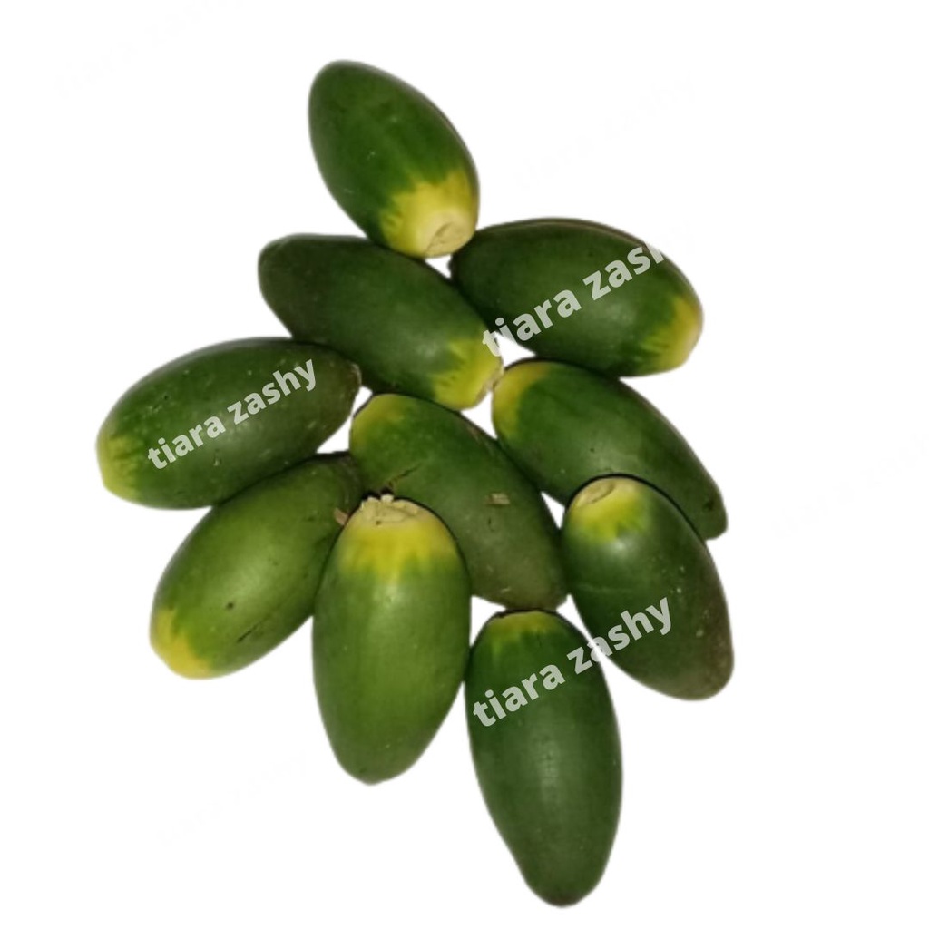 Jual Buah Pinang Jambe Muda Segar 1kg | Shopee Indonesia