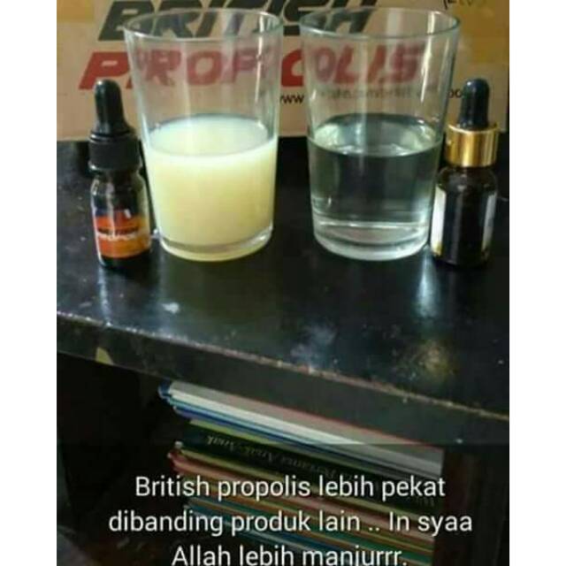 Jual Obat untuk Stroke (British propolis) | Shopee Indonesia
