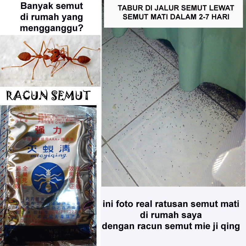 RACUN SEMUT MEI JI QING - RACUN SEMUT SERBUK - RACUN SEMUT AMPUH ...