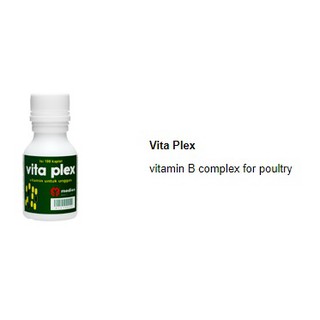 Jual VITAPLEX/VITA PLEX ISI 50 KAPLET VITAMIN B KOMPLEKS UNGGAS ...