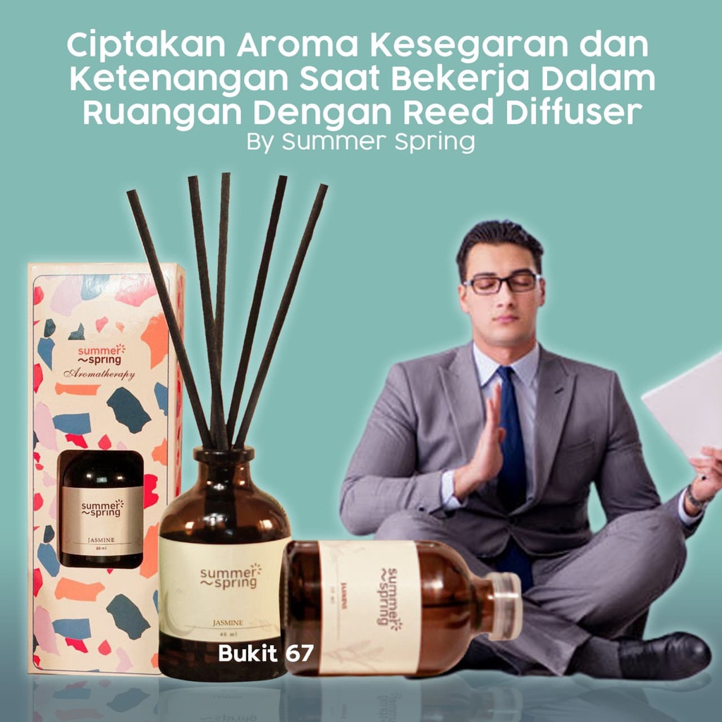 Jual Pengharum Ruangan Toilet Kamar Mandi Wc diffuser Mini Reed ...