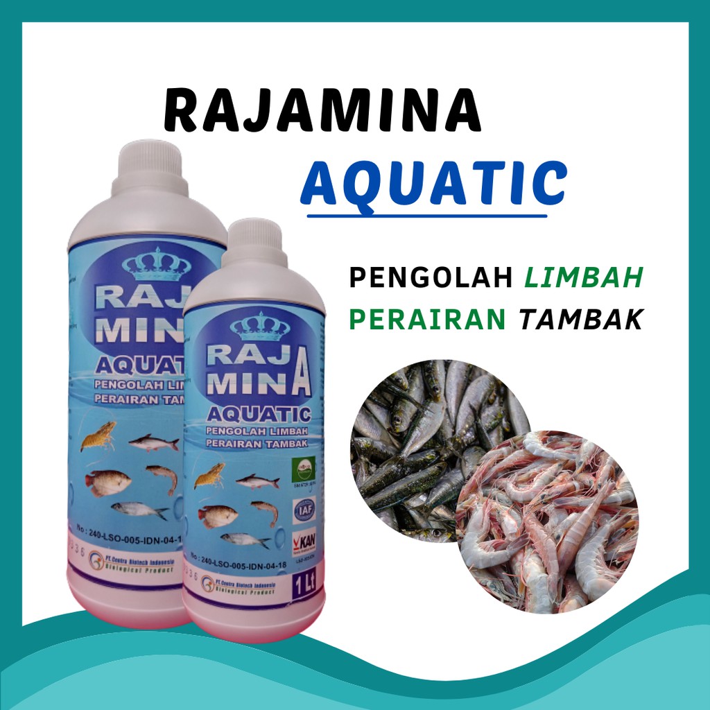 Jual PROBIOTIK untuk budidaya udang windu, RAJAMINA Aquatic Pengurai ...