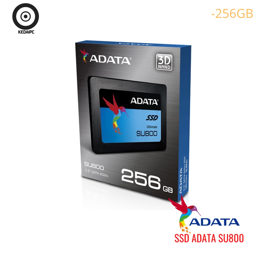 Jual ADATA SSD SU800 256GB SATA III | Shopee Indonesia