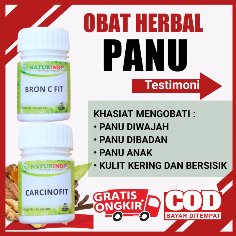 Harga Pacitanku Terbaru Juli 2022 |BigGo Indonesia