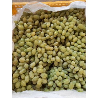 Jual Anggur Thompson Hijau | Shopee Indonesia