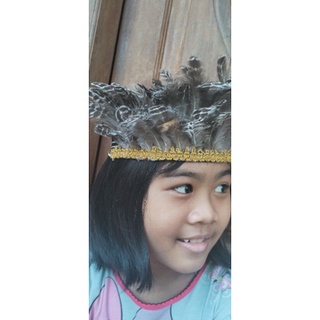 Jual mahkota adat papua | Shopee Indonesia