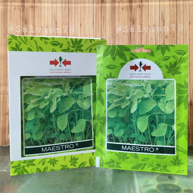 Jual benih bayam cabut hijau - cap panah merah - MAESTRO F1 | Shopee ...
