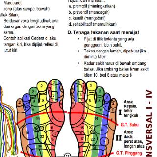 Jual Poster Pijat Refleksi 48x32cm (2 lbr/set) | Shopee Indonesia