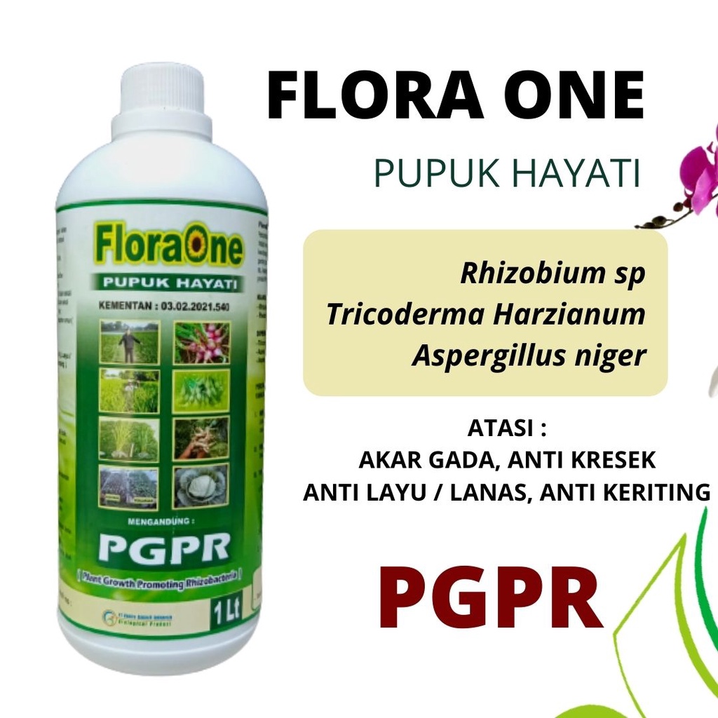 Jual FLORA One Pupuk PGPR, Pupuk Hayati Cair Rhizobium sp / Pemacu Pertumbuhan Pengendali ...