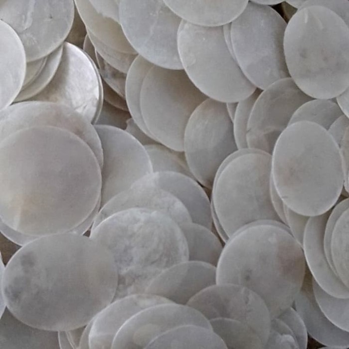 Jual Simping Kerang Warna Putih 1kg Untuk Craft - Kerang - Kulit Kerang ...