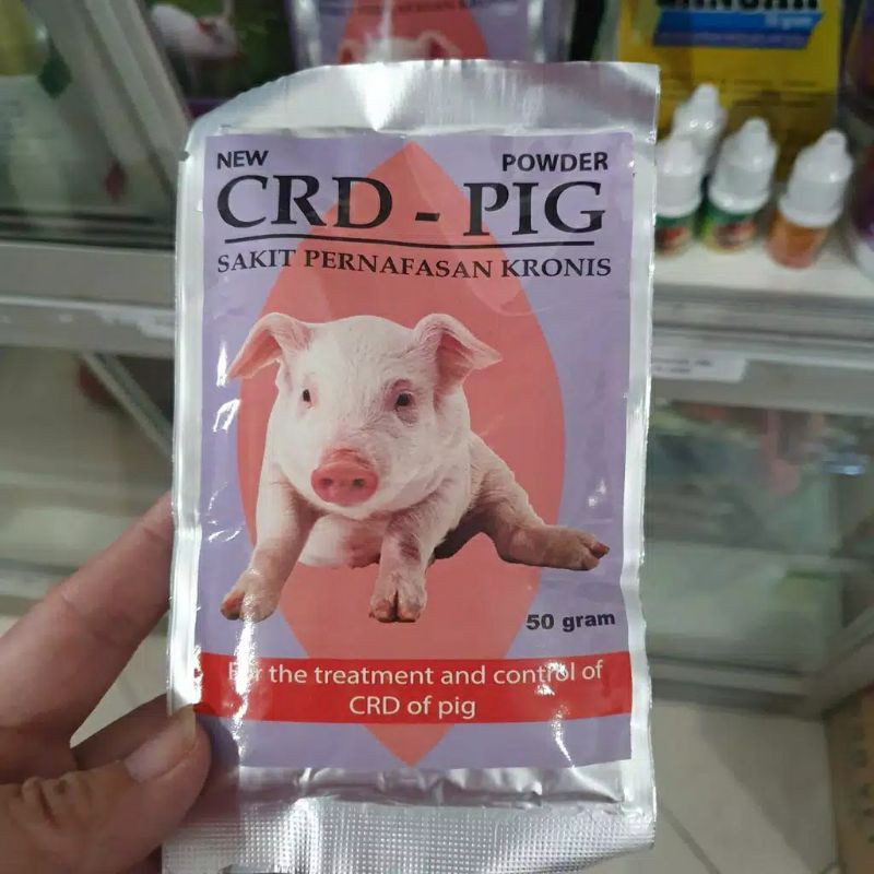 Jual CRD PIG OBAT CRD NGOROK PILEK BATUK BERSIN SAKIT PERNAFASAN KRONIS ...