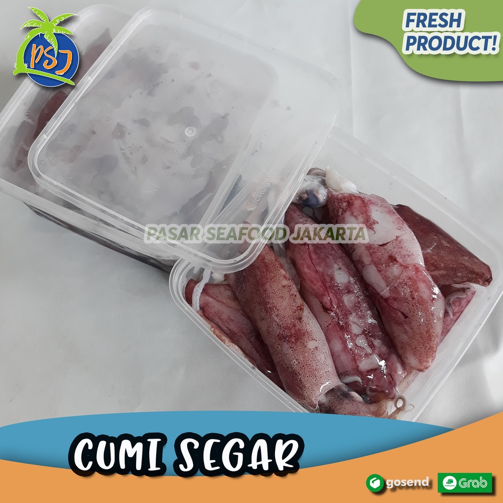 Jual Cumi-cumi Segar Fresh squid / Cumi Bangka - Sero enak Kiloan Pasar ...
