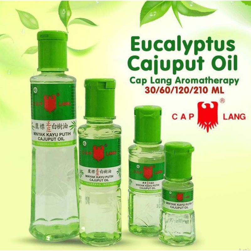 Jual Minyak Kayu Putih Cajuput Oil 15ml/30ml/60ml | Shopee Indonesia